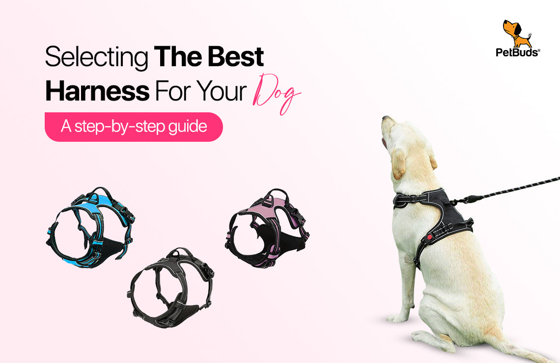 Need For Dog Harness: Step-by-step Guide to Selecting the Best One ...