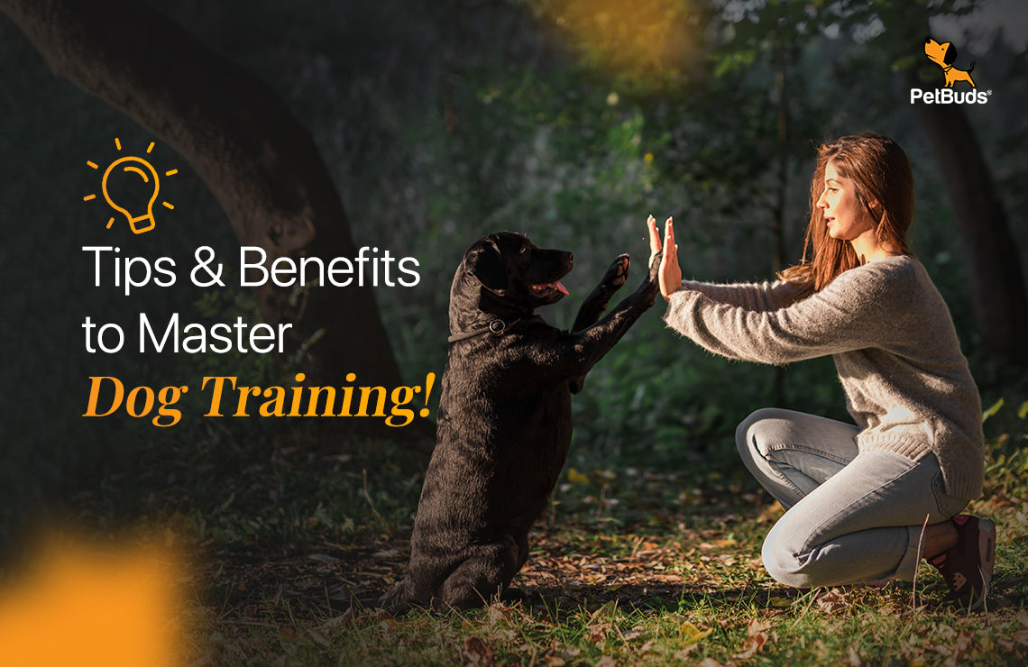 Unlock the Secrets to Master Dog Training: Tips & Benefits – PetBuds