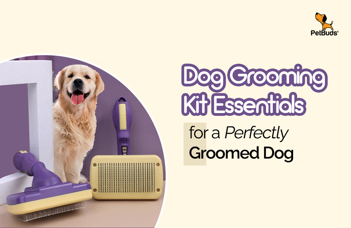 Dog Grooming Kit Essentials for a Perfectly Groomed Dog – PetBuds